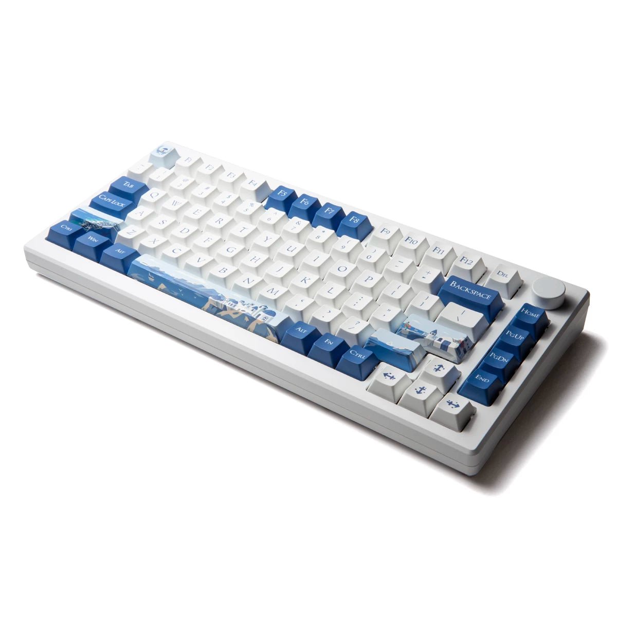 Akko MOD 007B HE 75% Keyboard – Divinikey